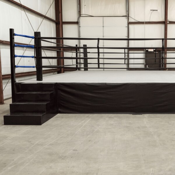 Zebra Boxing Rings
