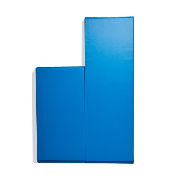 Zebra Wall Pads - Gym Wall Padding | Zebra Athletics